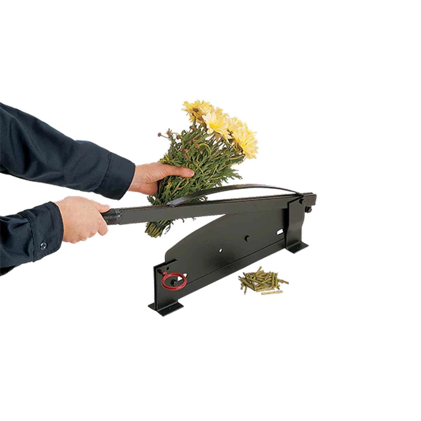 Cutting – Floral Merchandising Systems